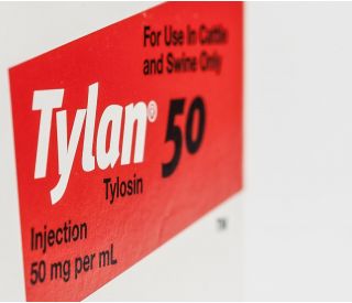 Tylan® 50 Injection | Santa Cruz Animal Health
