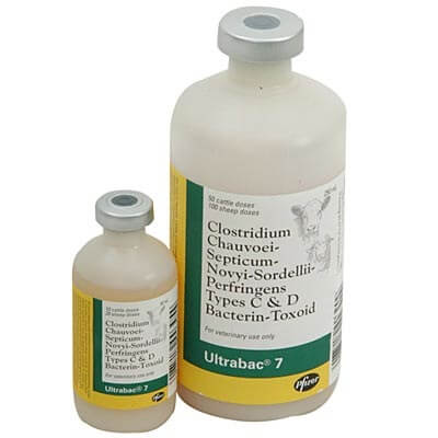 Ultrabac® 7 | Santa Cruz Animal Health