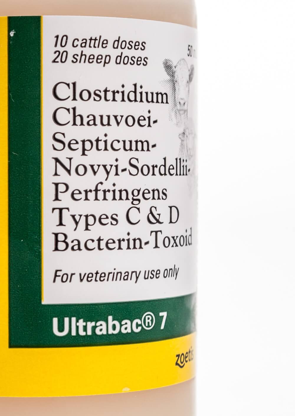 Shop Pharmacy for Sheep Rx Critical Care