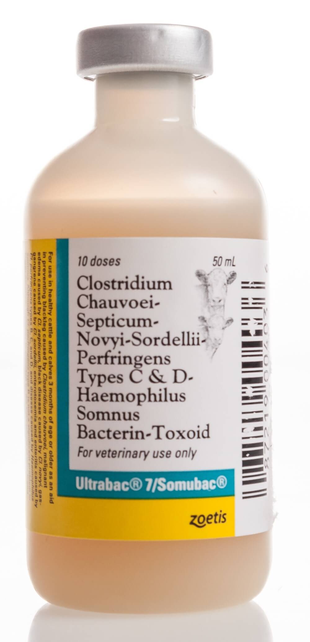 Shop Pharmacy for Sheep Rx Critical Care