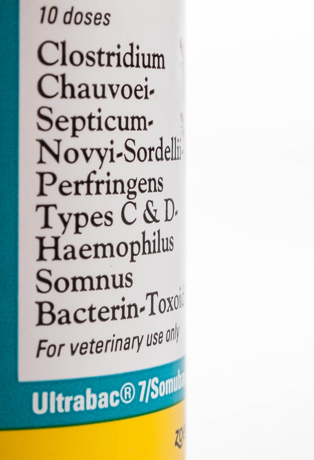 Shop Pharmacy for Sheep Rx Critical Care