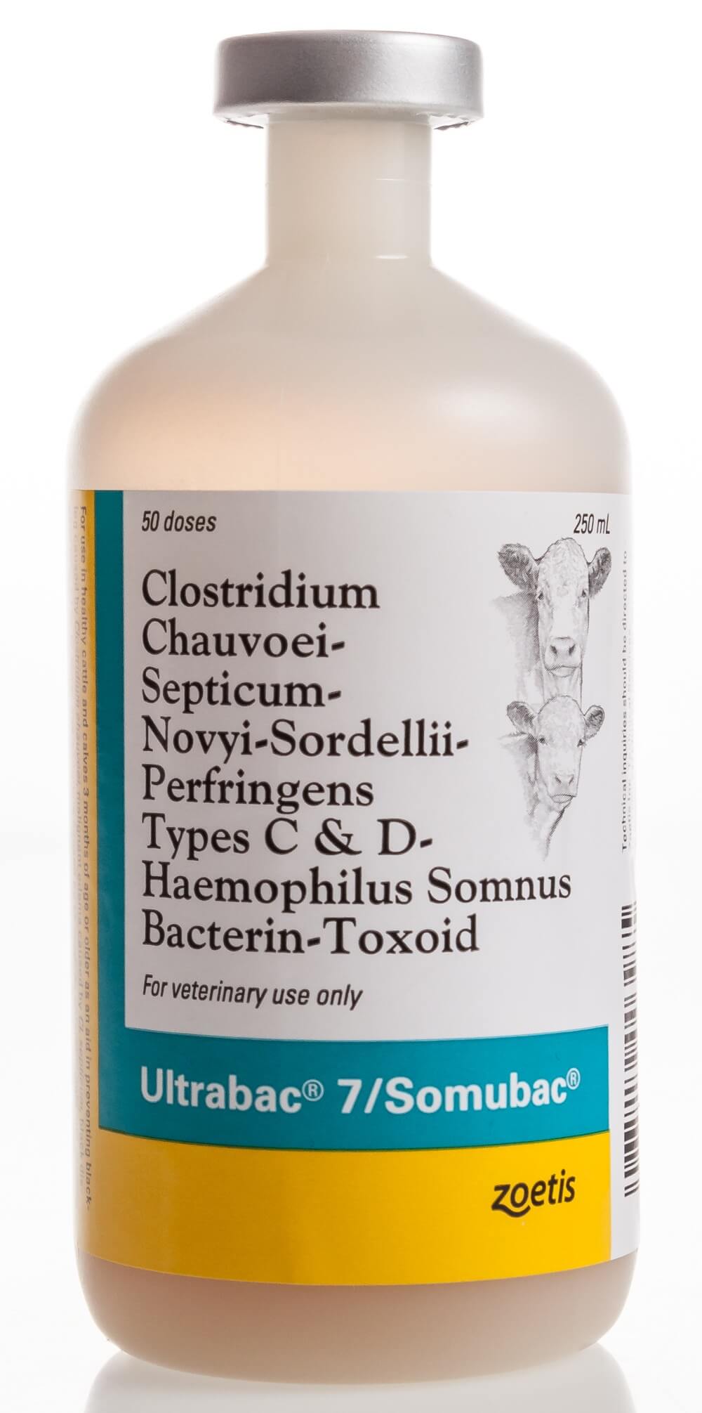 Shop Pharmacy for Sheep Rx Critical Care