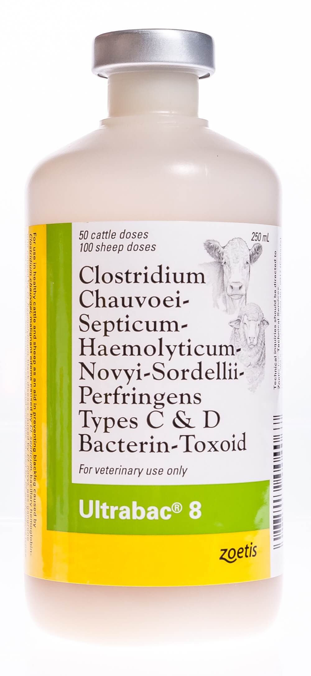 Shop Pharmacy for Sheep Rx Critical Care