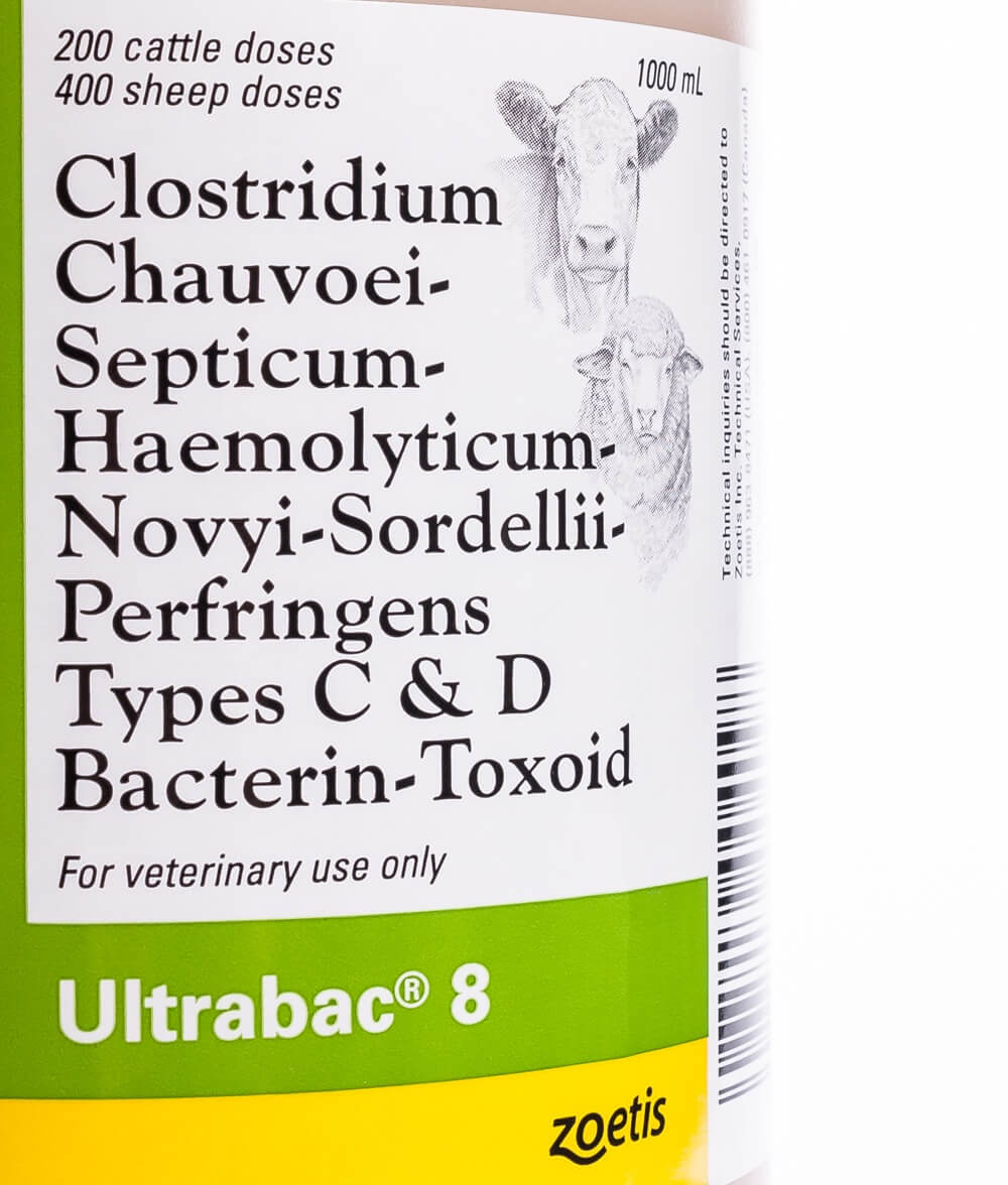 Shop Pharmacy for Sheep Rx Critical Care