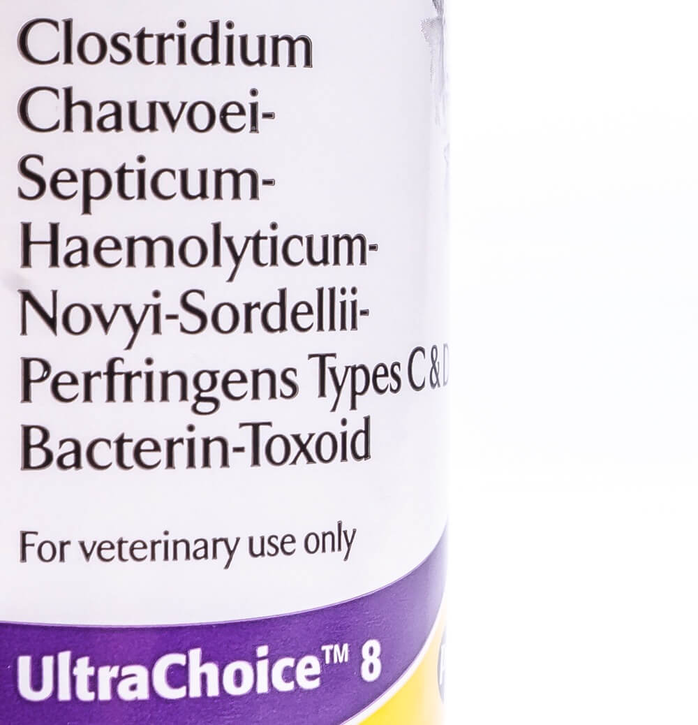 Shop Pharmacy for Sheep Rx Critical Care