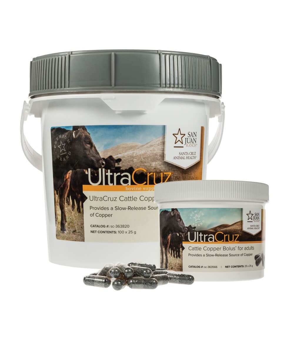 Shop Pharmacy for Sheep Rx Critical Care