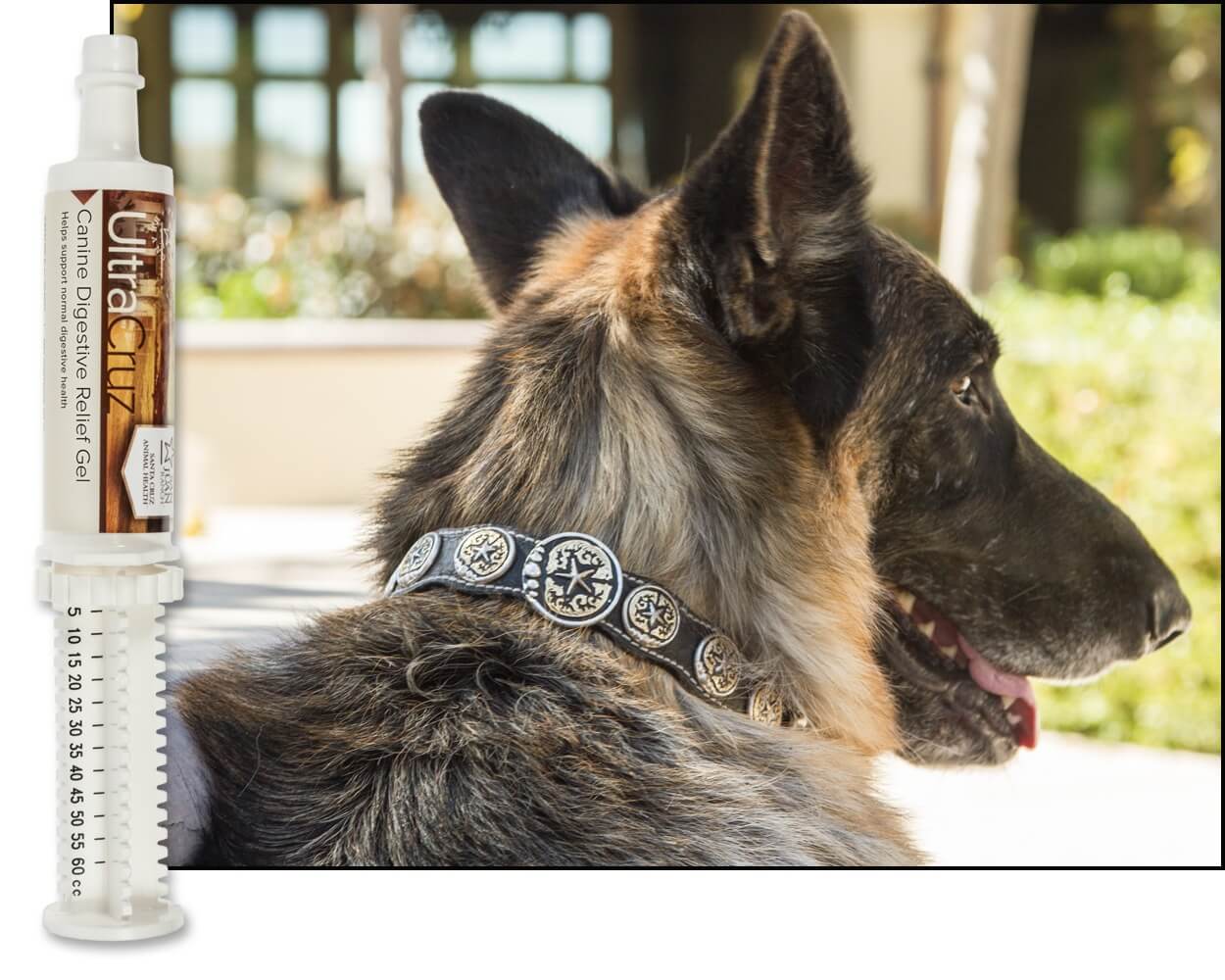 Shop Pharmacy for Sheep Rx Critical Care