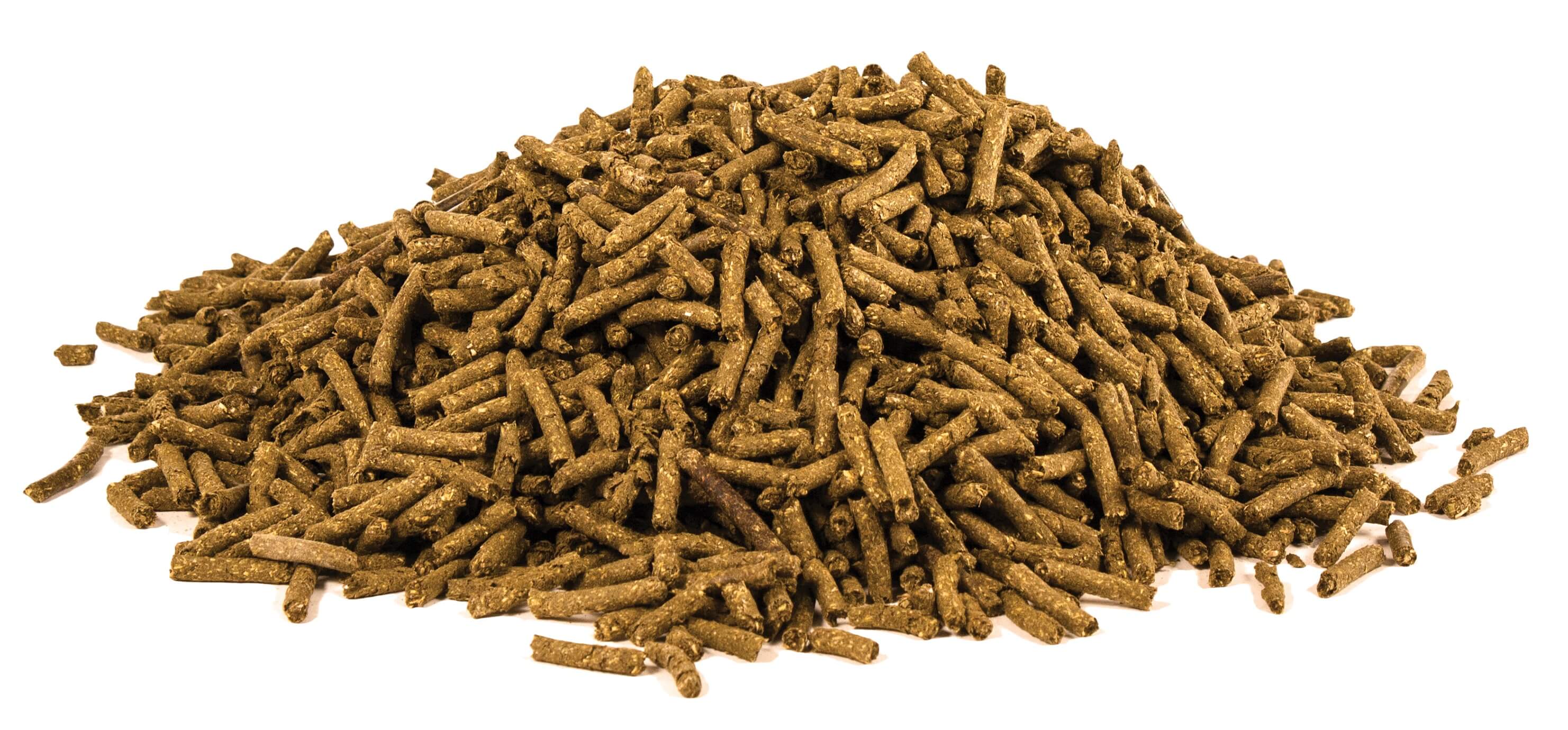 UltraCruz® Equine Advanced Gastric Support Supplement for Horses ...