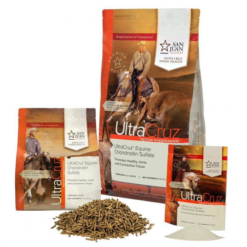 Chondroitin Sulfate Supplement for Horses – UltraCruz® | Santa Cruz ...