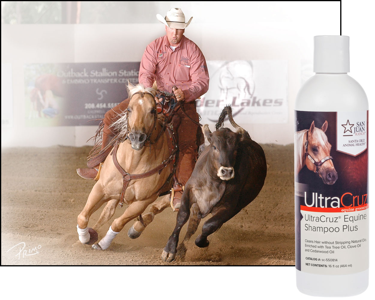 Shop Pharmacy for Sheep Rx Critical Care