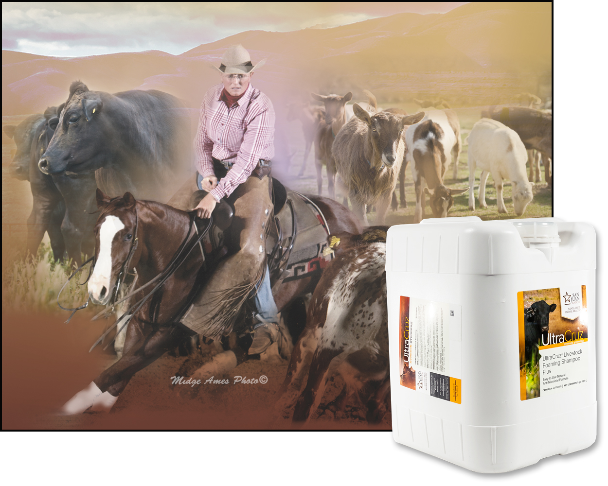 UltraCruz® Livestock Foaming Shampoo Plus for Cattle, Goats, Sheep and ...