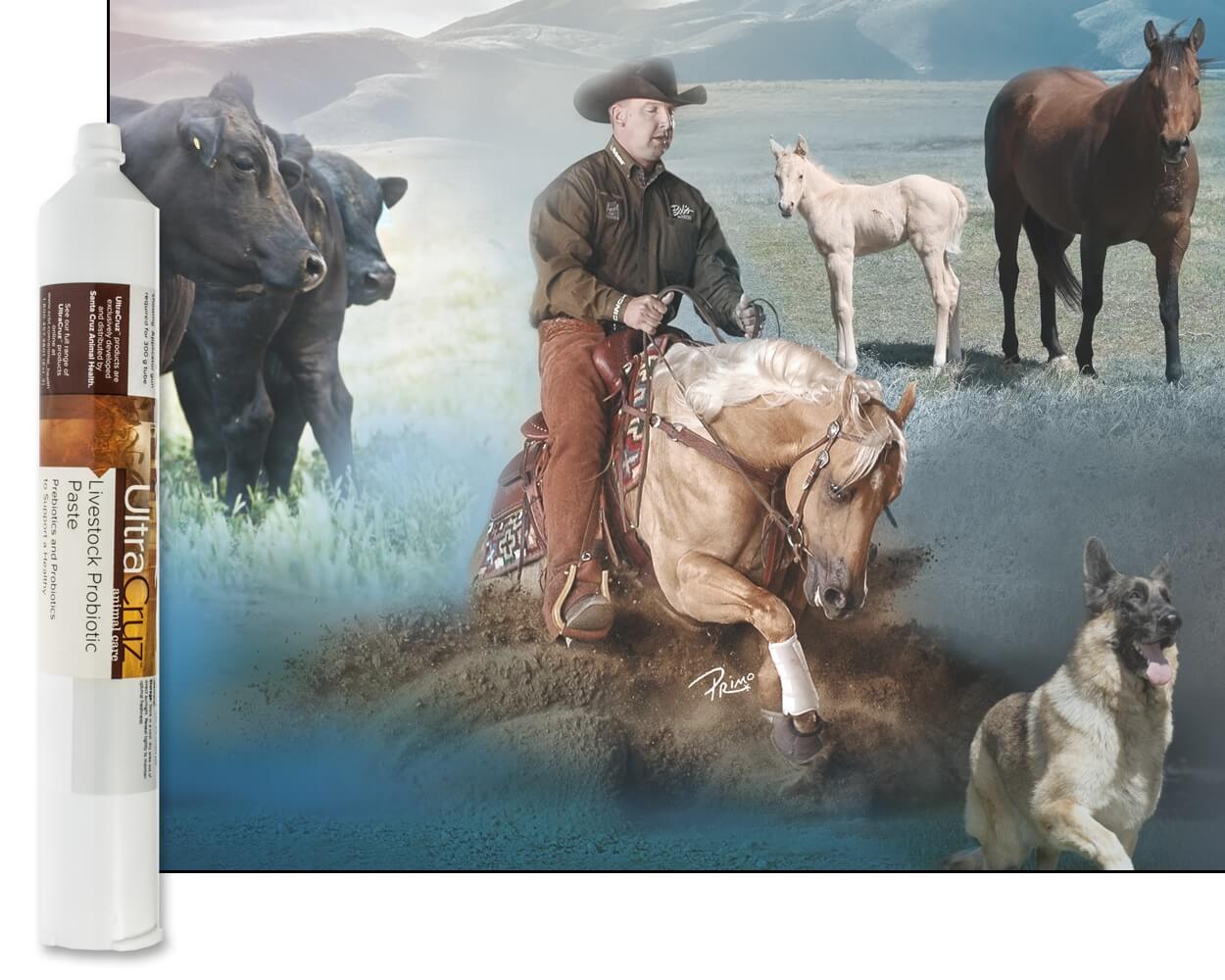 Shop Pharmacy for Sheep Rx Critical Care