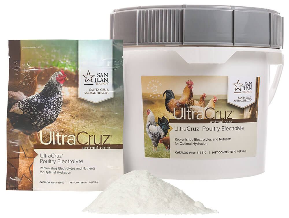 UltraCruz® Poultry Electrolyte Supplement for Chickens | Santa Cruz ...