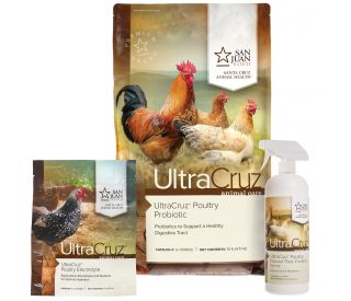 UltraCruz® Poultry Electrolyte Supplement for Chickens | Santa Cruz ...