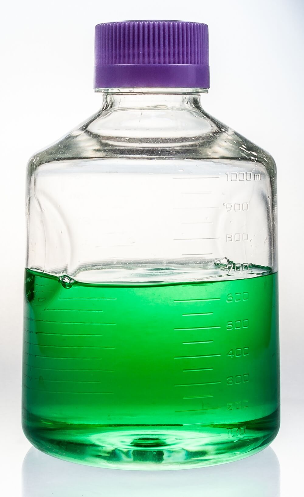 Shop Pharmacy for Sheep Rx Critical Care