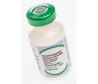Vetera 4 XP + WNV, 10 doses