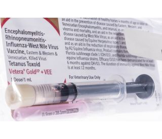 Vetera Gold XP + VEE, 1 dose