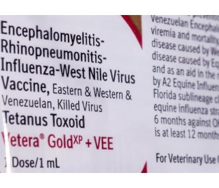 Vetera Gold XP + VEE, 1 dose