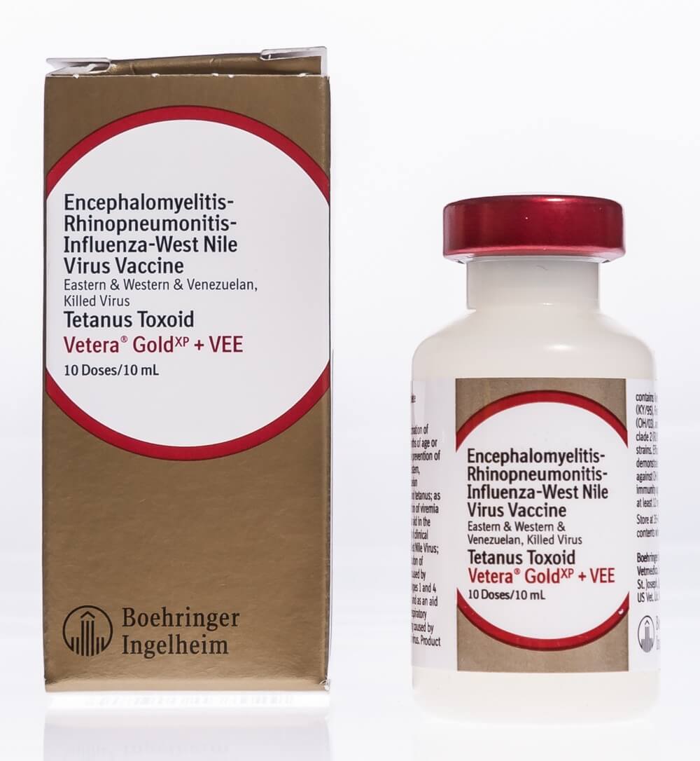 Shop Pharmacy for Sheep Rx Critical Care