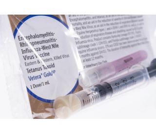 Vetera Gold XP, 1 dose