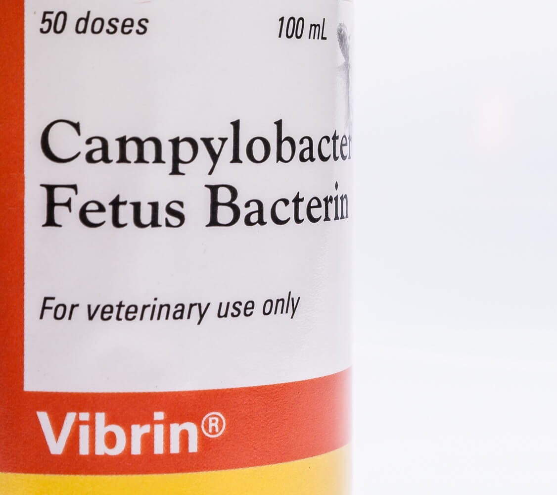 Shop Pharmacy for Sheep Rx Critical Care