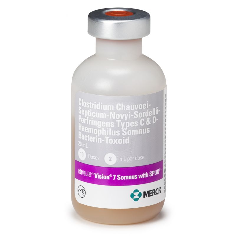 Bovilis® Vision® 7 Somnus with Spur® | Santa Cruz Animal Health