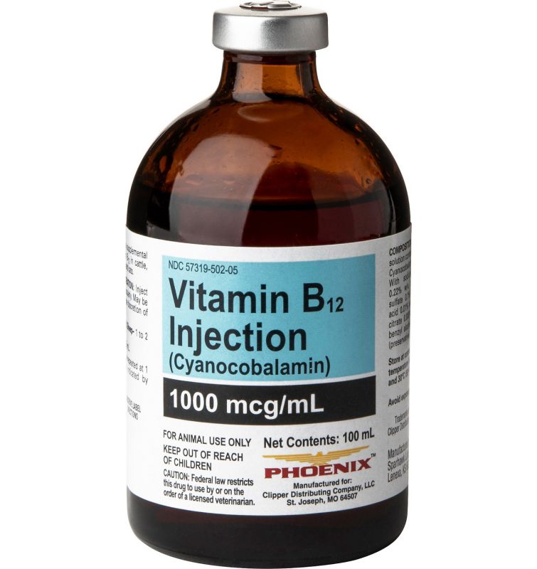 Vitamin B-12 Injectable Solution | Santa Cruz Animal Health
