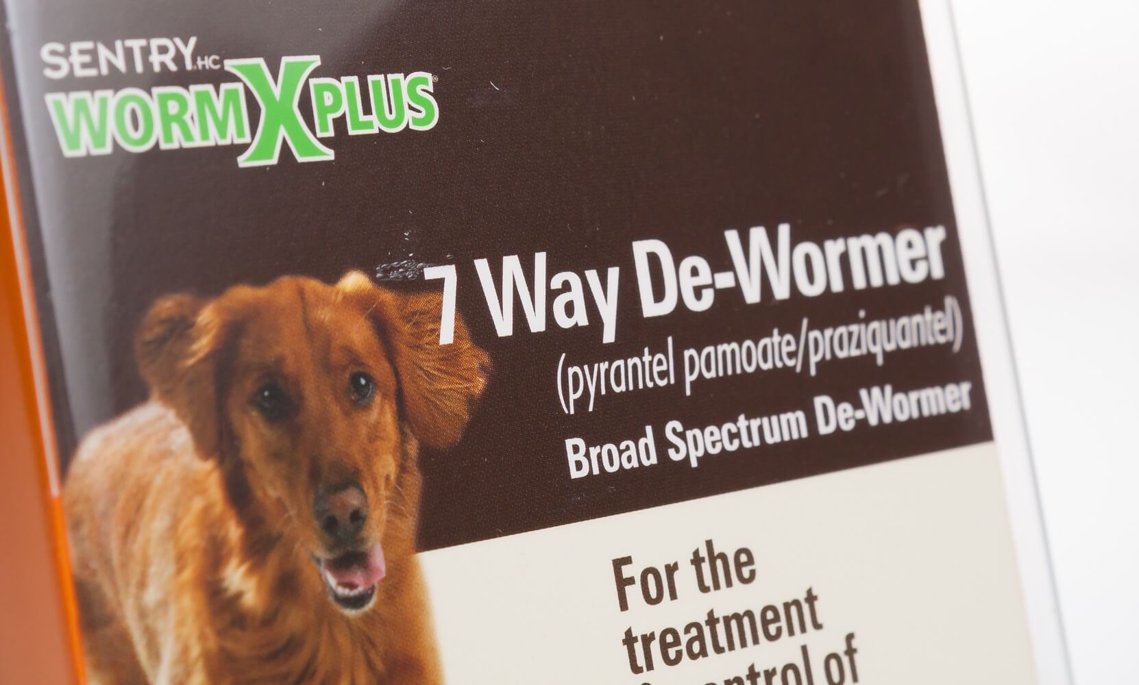 Shop Pharmacy for Sheep Rx Critical Care