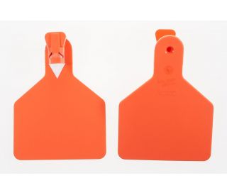 Z Tag Blank Calf ID Tag | Santa Cruz Animal Health