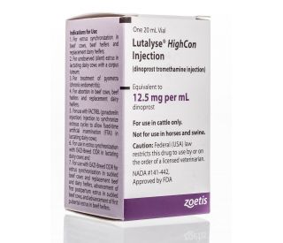 Lutalyse® HighCon | Santa Cruz Animal Health