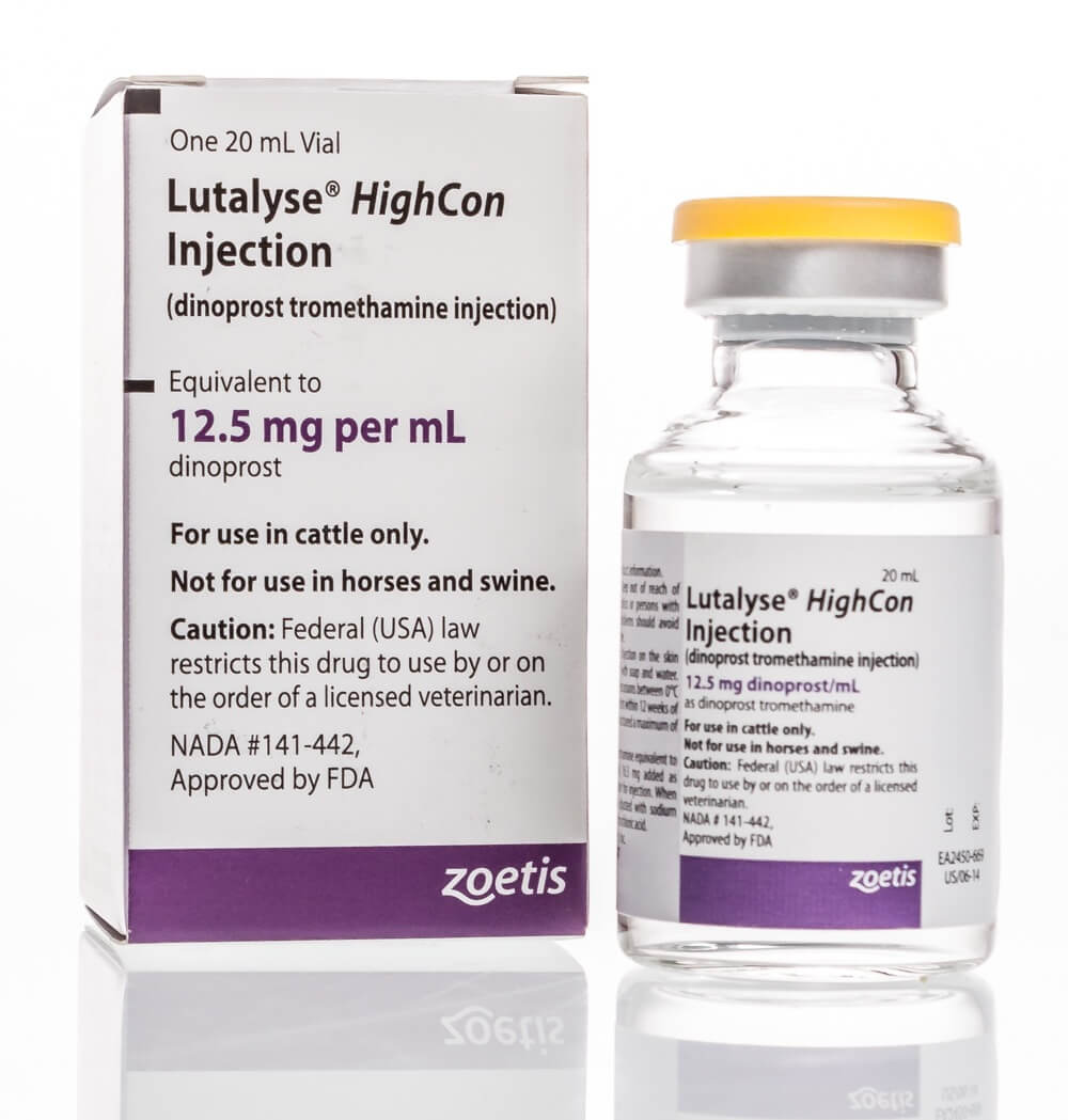 Lutalyse® HighCon | Santa Cruz Animal Health