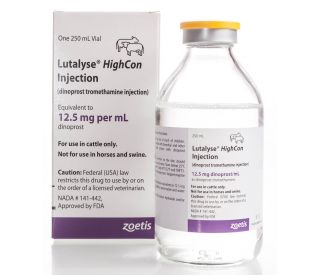 Lutalyse® HighCon | Santa Cruz Animal Health